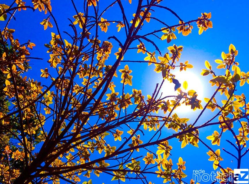 Como será o clima com a chegada da Primavera? - Rede NoticiaZ